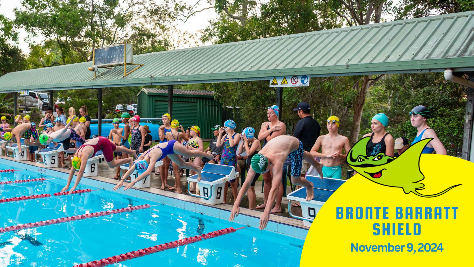 Home - Samford Stingrays Swim Club