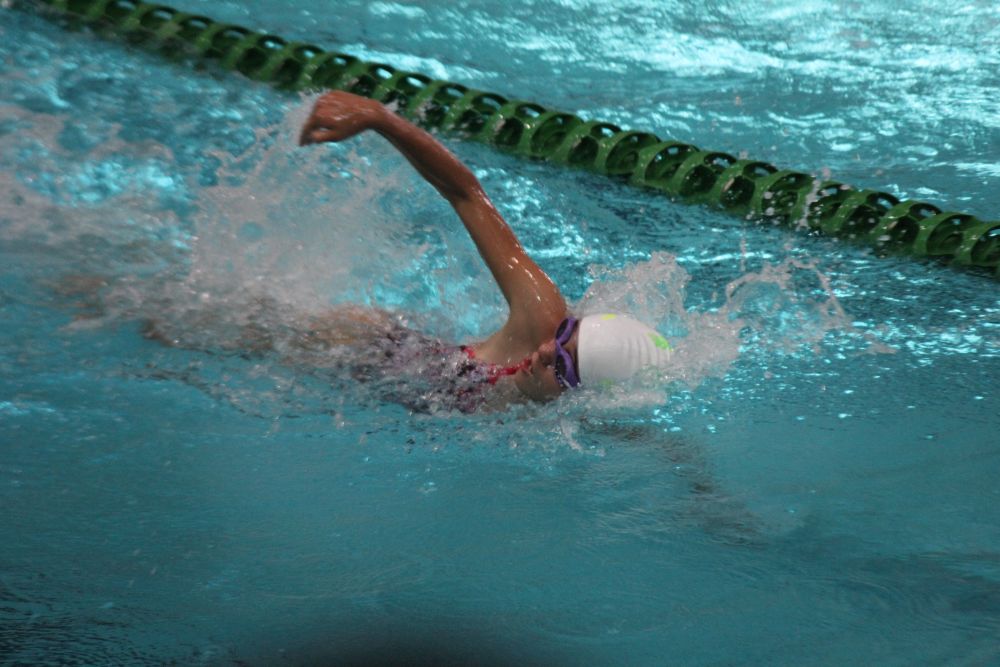 FAQ - Samford Stingrays Swim Club